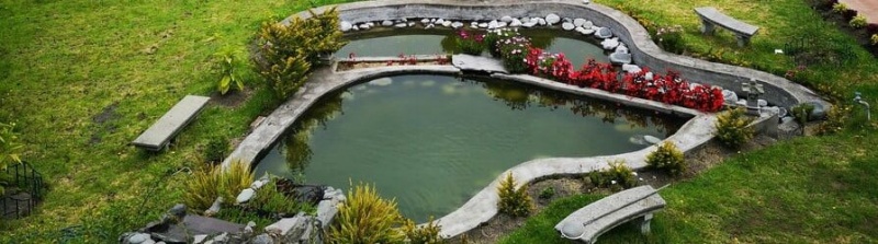 Teich anlegen: Das ist zu beachten | GEO-mall.de